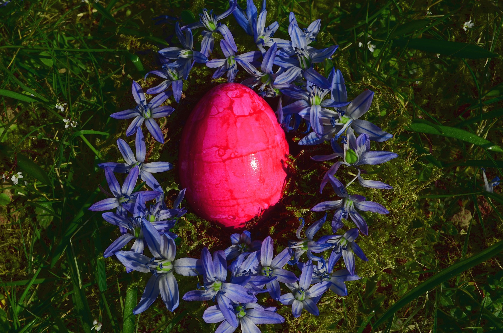 Das Osterei auf der Fensterbank * Geschichtenseiten